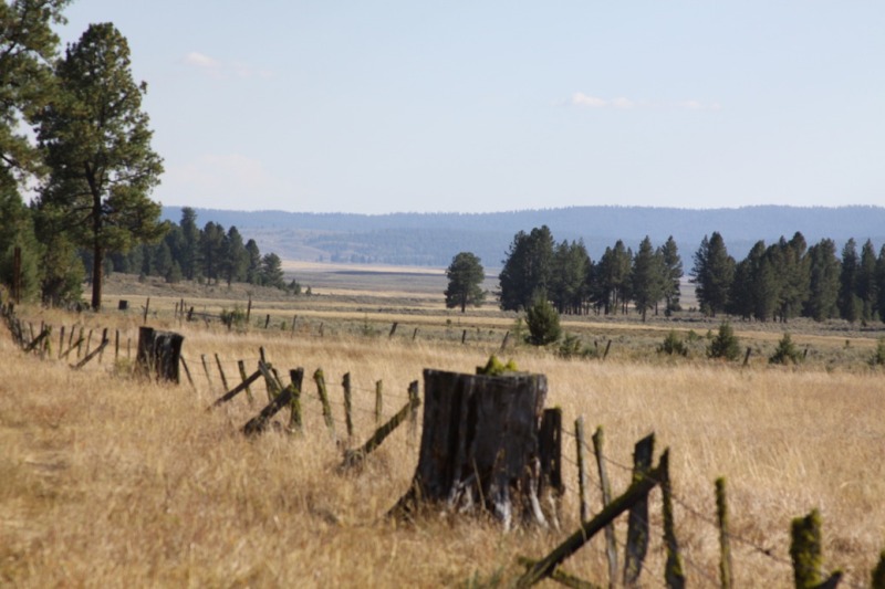Seneca, Oregon used to be a railhead for logging in the surrounding ...