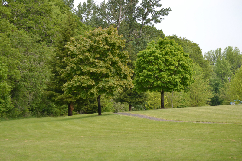 Adair Village, Oregon, then named Camp Adair was first a World War II ...